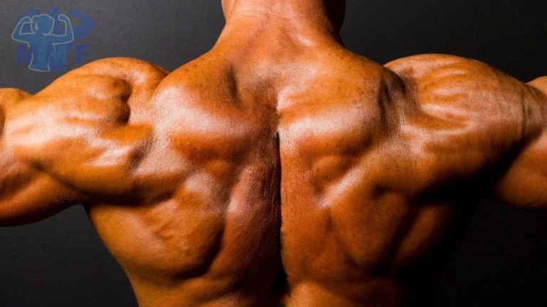 5 Shoulder Exercises You Must Do In Shoulder Workouts For Mass