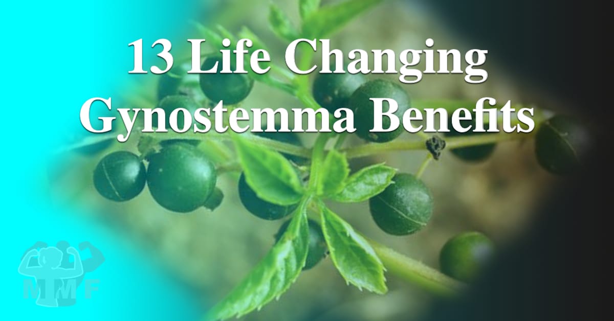13 Life Changing Gynostemma Benefits