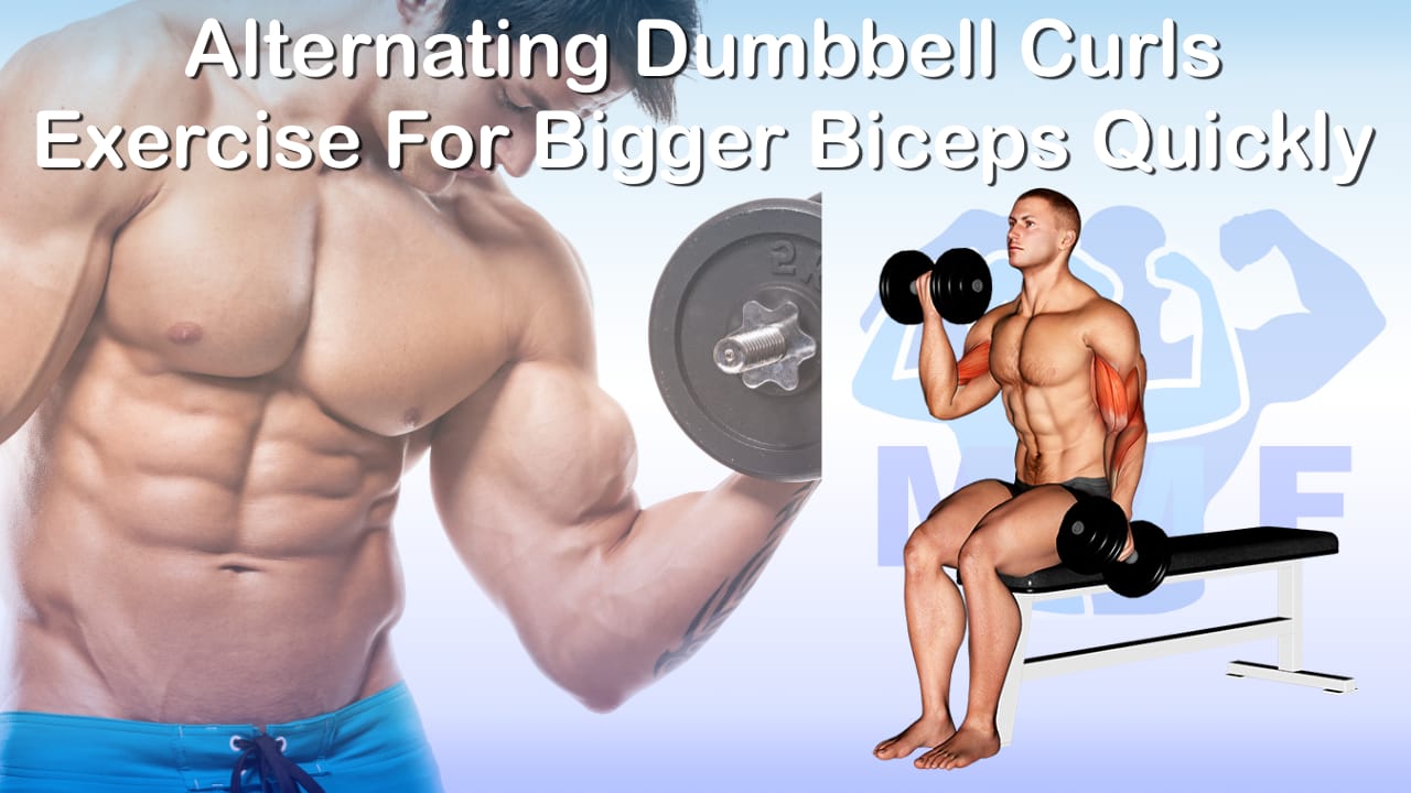Alternating Dumbbell Curls Exercise: For Bigger Biceps Quickly