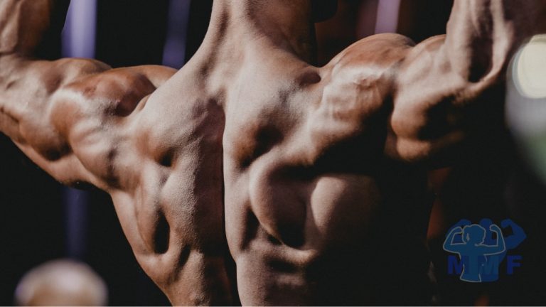 7 of the Best Back Exercises for Bodybuilding and Strength Training