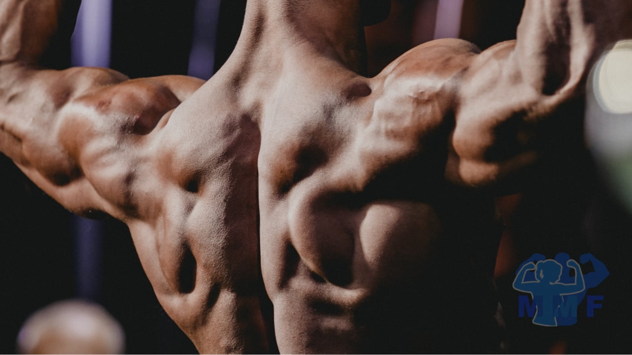 7 of the Best Back Exercises for Bodybuilding and Strength Training