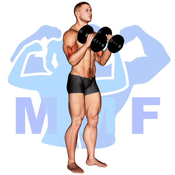 34 Dumbbell Arms Exercises for Men: An Easy Guide
