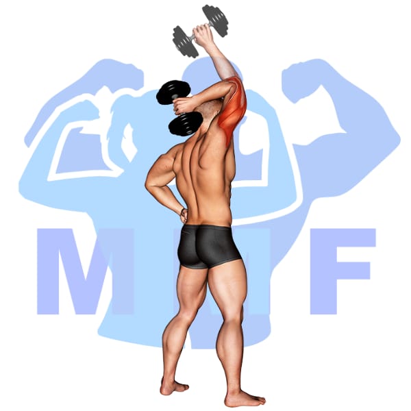 Cable Overhead Triceps Extension: Your Simple Guide To Proper Form