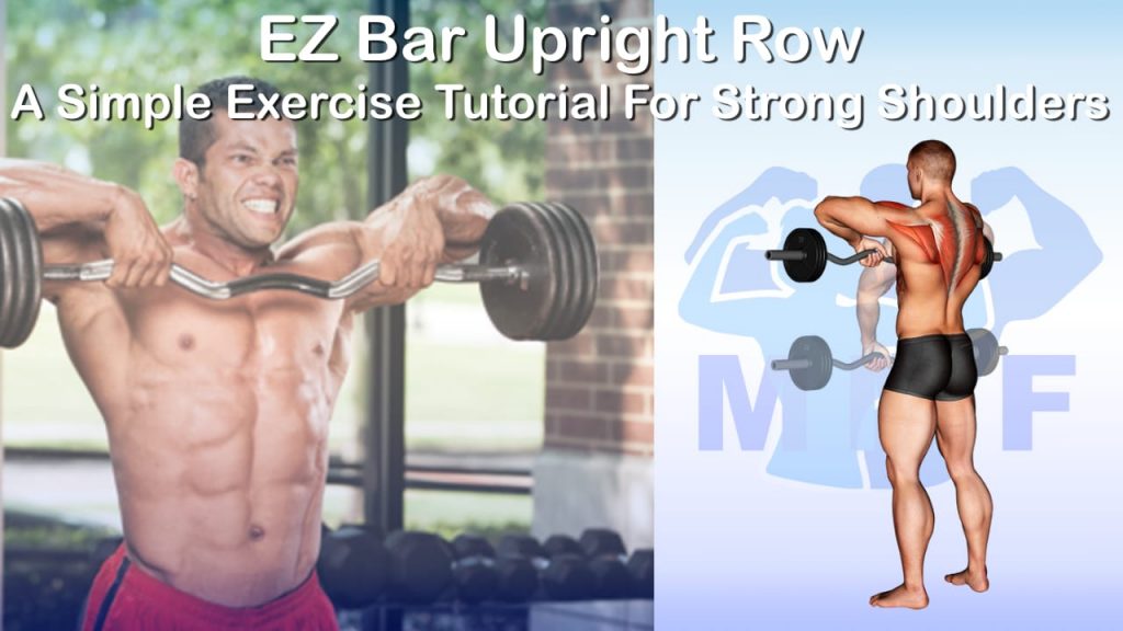 EZ Bar Upright Row - A Simple Exercise Tutorial For Strong Shoulders