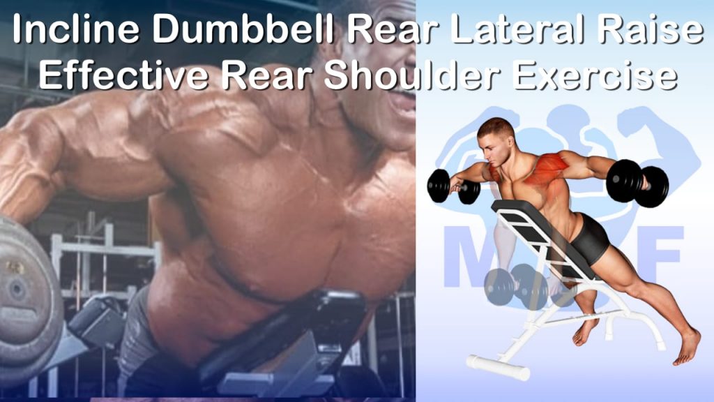 Incline Dumbbell Rear Lateral Raise - Effective Rear Shoulder Exercise