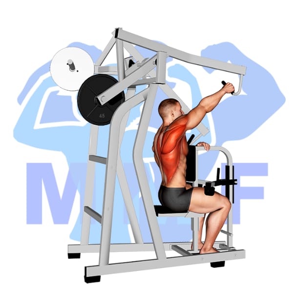 T-Bar Reverse Grip Row: Your Helpful How-To Guide