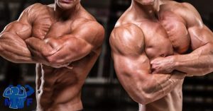 27 Deltoid Anterior Exercises for Men: By Equipment Type
