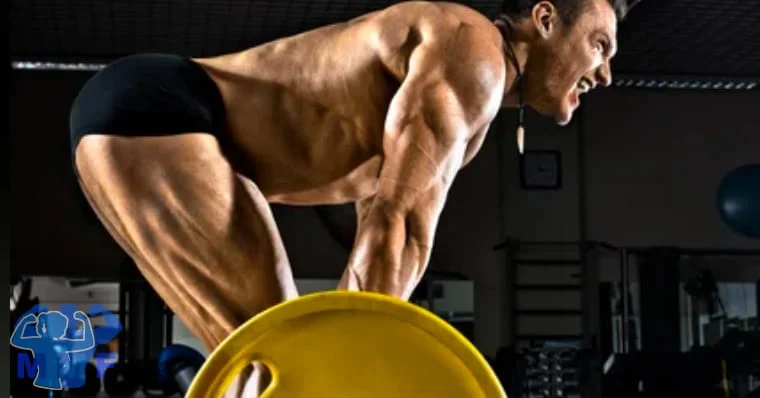43 Glutes Exercises for Men: A Simple Fitness Guide