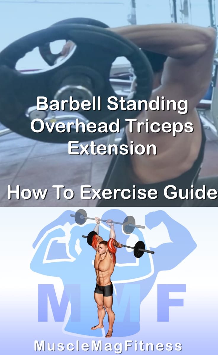 Barbell Standing Overhead Triceps Extension: How To Exercise Guide