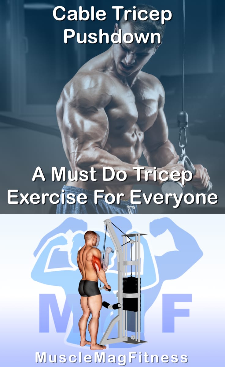 Cable Tricep Pushdown: A Must Do Tricep Exercise For Everyone