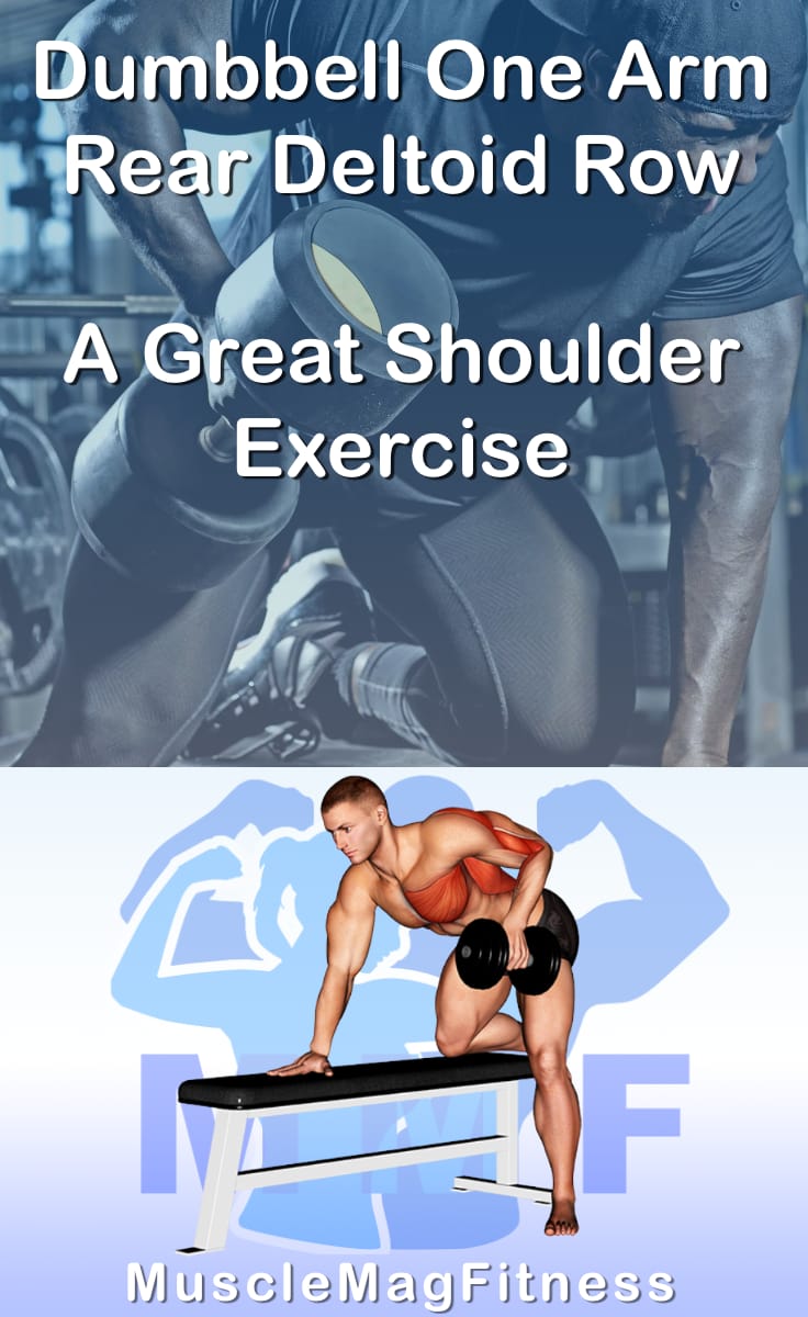 Dumbbell One Arm Rear Deltoid Row: A Great Shoulder Exercise