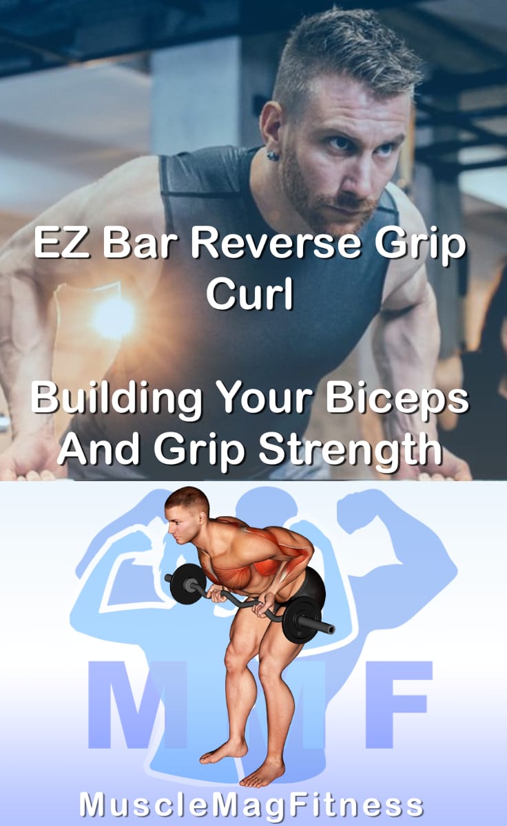 EZ Bar Reverse Grip Bent Over Row: Your Quick And Easy Guide