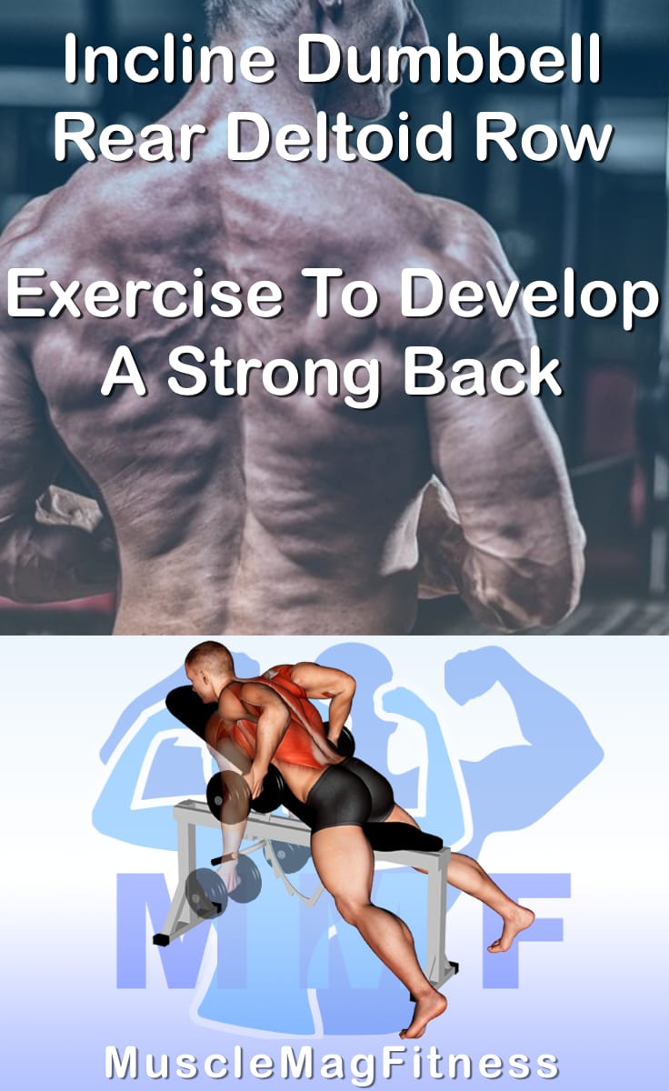 Incline Dumbbell Rear Deltoid Row: Exercise To Develop A Strong Back