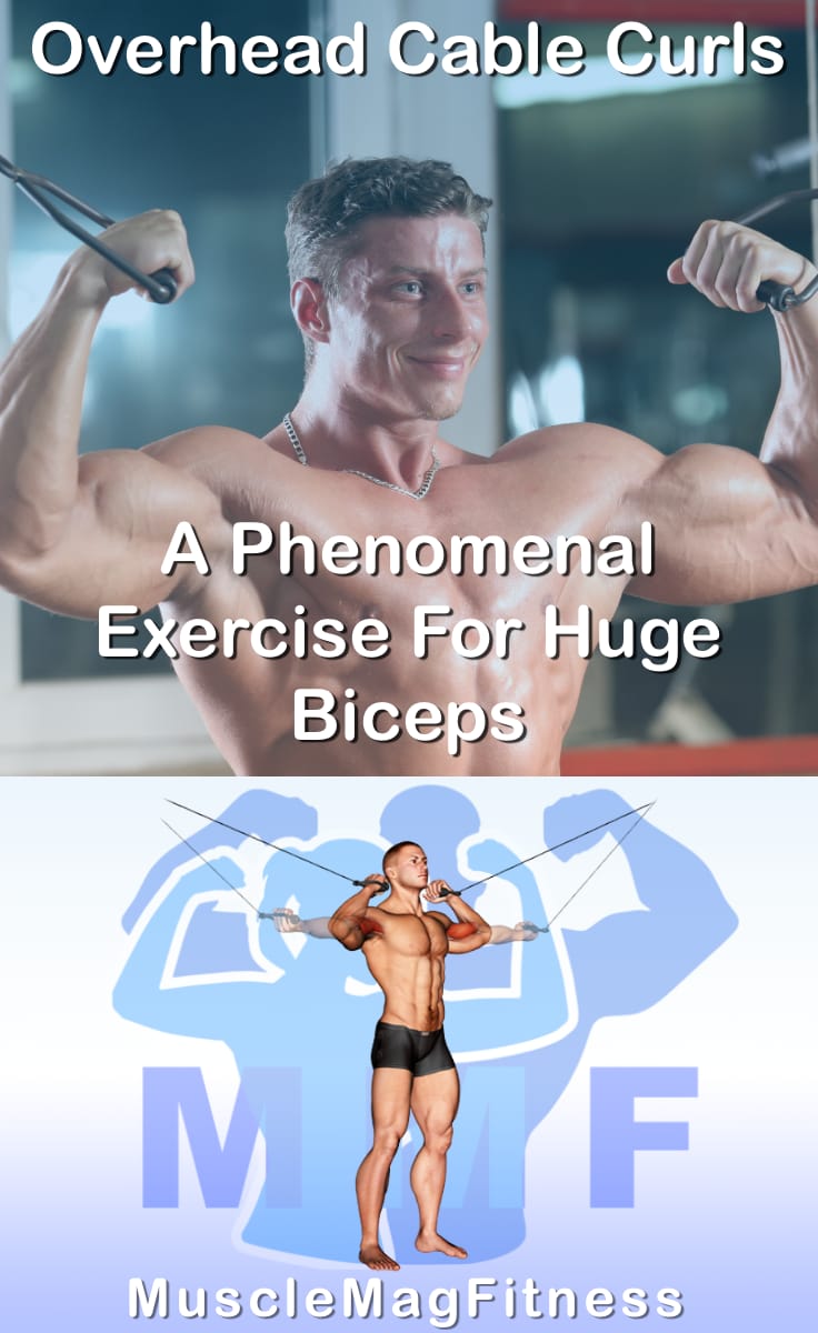 Overhead Cable Curls: A Phenomenal Exercise For Huge Biceps