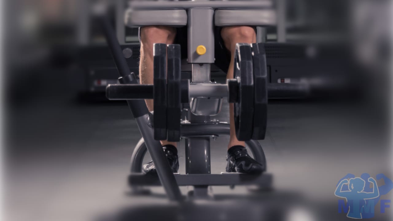 Seated Calf Raise Machine - Guide, Tips, and Variations