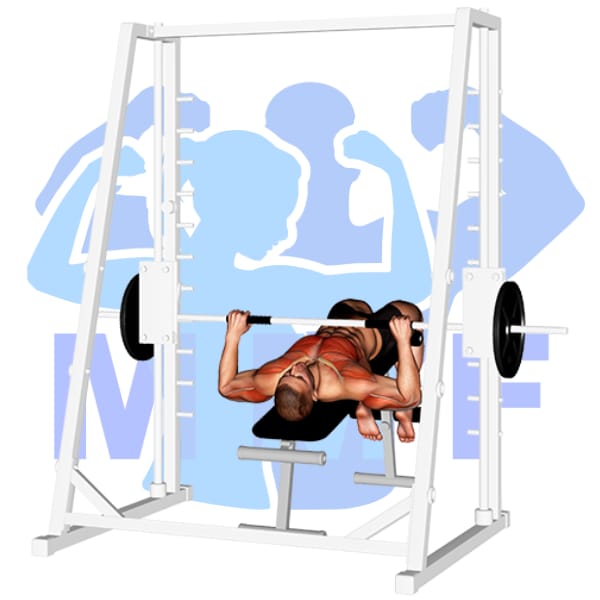 Smith Machine Bench Press: Your Complete Tutorial