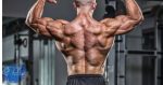 23 Best Barbell Back Exercises for Strength Simplified