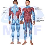 Tuck Crunch: Your Essential How To Tutorial For This Ab Exercise