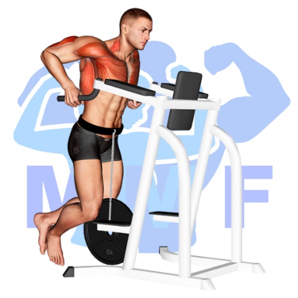 Wide Grip Chest Dip: Powerful Body Weight Chest Building Exercise