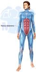 27 Rectus Abdominis Exercises for Women: Equipment-Based Routines